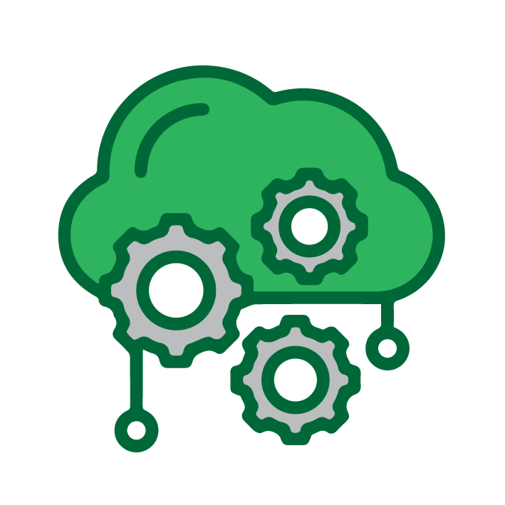 Custom IT Solutions - 101 IT